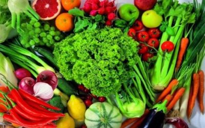 Jenis Sayur Organik dan Kelebihannya | AMTAST Indonesia